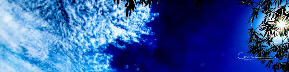 LinkedIn Banner Sky - Gordon Kamitomo